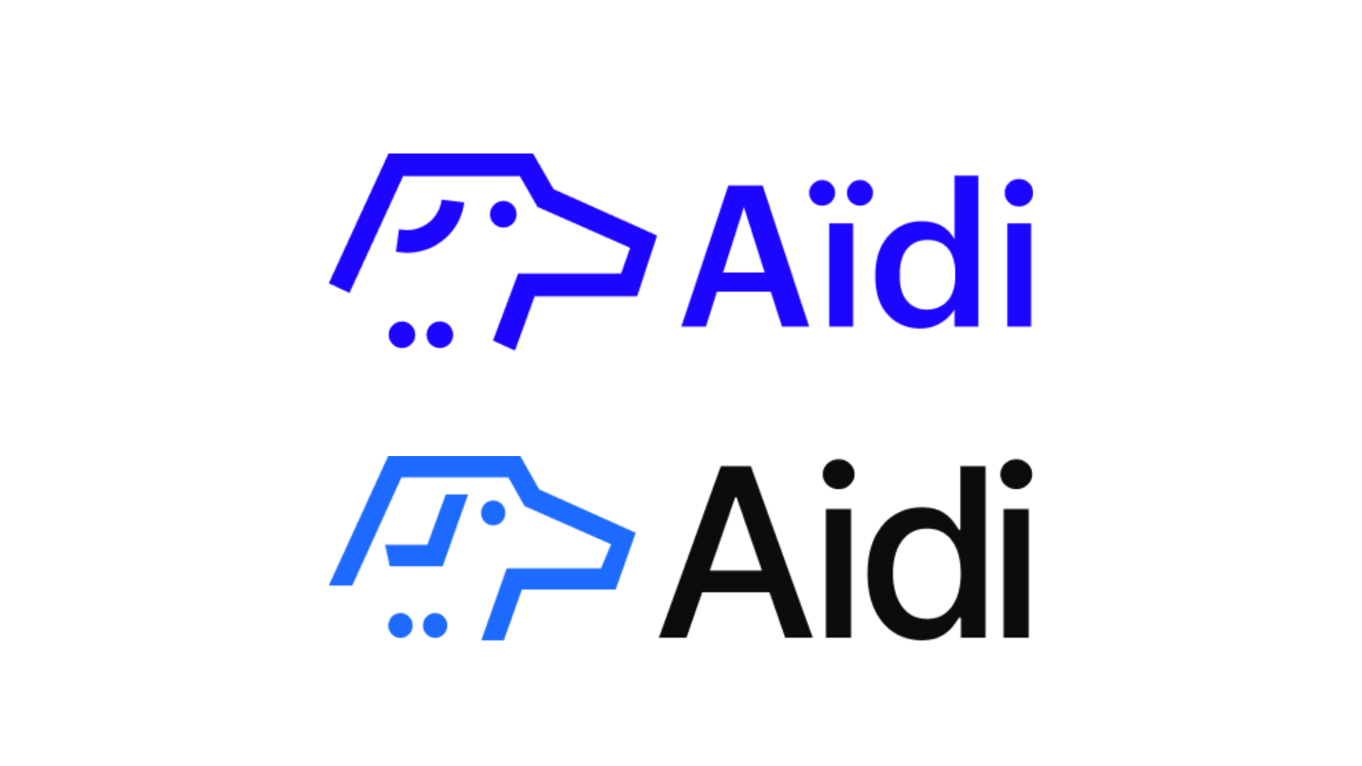 Aidi’s Brand Evolution